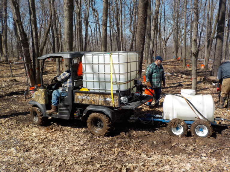 Visit Buffalo & WNY's Maple Sugar Farms For A Sweet Trip